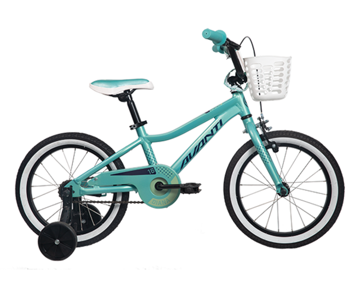 Avanti kids bikes store